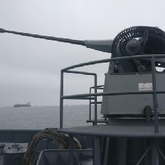 Rafael's (from Israel) Typhoon Mk-30c gun